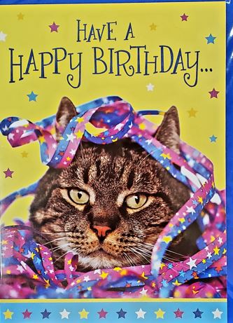 Birthday Card - Cat & Streamers – Partytime
